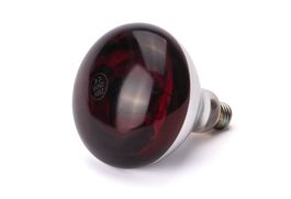 Infrared heat bulb - HENDI Tools for Chefs